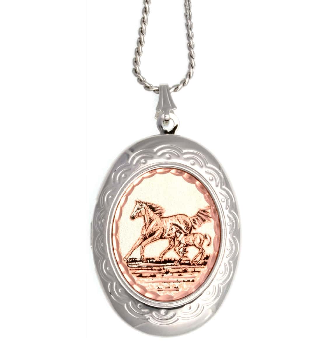 Unique Horse Locket Necklaces, Women's Jewelry Lockets